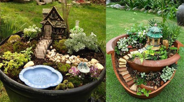 จัดสวนถาด สวยๆ ง่ายๆ ในแก้ว ระบบนิเวศน์แบบแห้ง ชื้น – Mumeaw